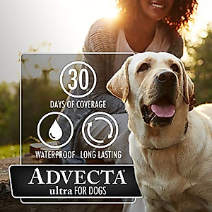 Advecta Ultra Flea and Tick Prevention for Dogs, Dog Flea and Tick Treatment, Waterproof Topical, Fast Acting, Large Dogs (21-55 lbs), 4 Doses