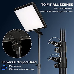 2-Pack LED Video Light Kit, NiceVeedi Studio Light, 2800-6500K Dimmable Photography Lighting Kit with Tripod Stand&Phone Holder, 73" Stream Light for Video Recording, Game Streaming, YouTube