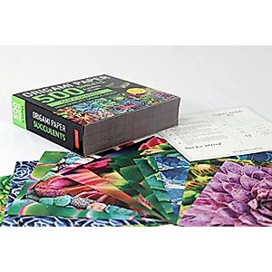 Origami Paper 500 sheets Succulents 6" (15 cm): Tuttle Origami Paper: Double-Sided Origami Sheets with 12 Different Photographs (Instructions for 6 Projects Included)