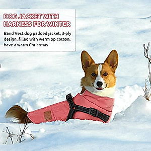 JUDYBRIDAL Dog Winter Jacket Pet Turtleneck Sweater for Cold Weather with Reflective Webbing, Warm Puppy Jacket Small Dog Winter Coats with Harness for Chihuahua Yorkie Dachshund Bulldog (M | Rose)