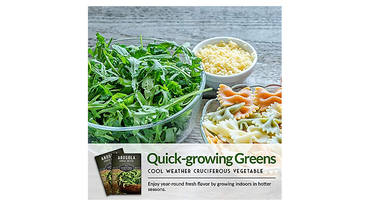 Grow Fresh Arugula Seeds - Non-GMO Heirloom for Home Gardens
