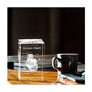 Ultrassist 3D Human Heart Crystal Model, Laser Etched Anatomical Model for Home and Office Decoration, Cardiology Gifts