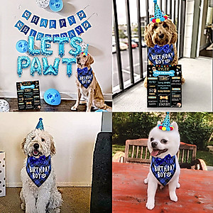 Dog Birthday Party Supplies, Dog Birthday Decorations Boy, Lets Pawty Balloons Banner, Dog Birthday Bandana, Dog Birthday Boy Hat Scarfs