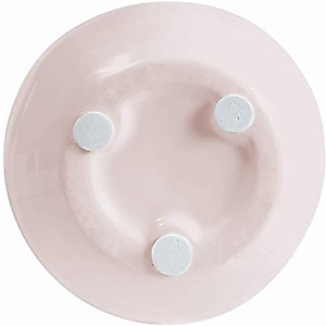 Pavilion Gift Company May All Your Wishes Come True Happy 60th Birthday-8 oz Soy Wax Candle with Wick in A Pink Ceramic Vessel 8 oz-100 Scent: Serenity, 3.5 Inch Tall