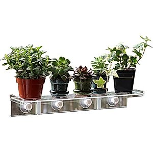 LaBrinx Designs Extra Large Suction Cup Shelf - Live Plants, Windows, and Bathrooms