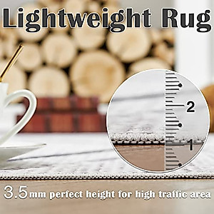 jinchan Runner Rug 2x5 Area Rug Hallway Moroccan Rug Grey Foldable Thin Rug Modern Geometric Accent Rug Soft Rug Indoor Non Slip Gray Carpet Kitchen Living Room Bedroom Dining Room Office