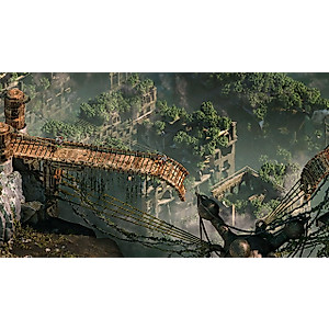 Beautiful Desolation (English)