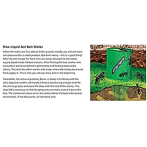 Terro Liquid Ant Bait Boxed 8 / Pack