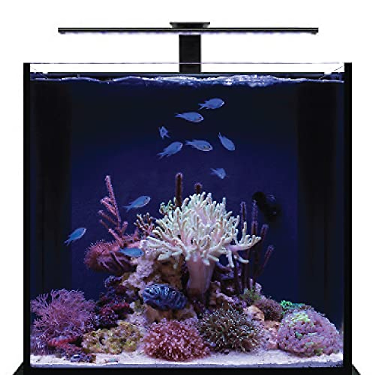 Current USA Orbit LED Adjustable Universal Tank Mount Lighting Bracket (4193) | Aquarium Light Tank Mounting Aluminum Arm for Fish Tanks | Works with a Variety of Strip Lighting