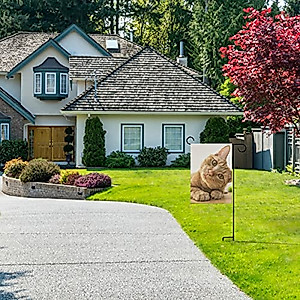 Hokkien Orange Cat Tilts His Head Garden Flag Banner 12 x 18 Inch Decorative Garden Flag for Outdoor Lawn and Garden Home Décor Double-Sided