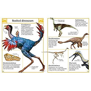 The Big Book of Dinosaurs (DK Big Books)