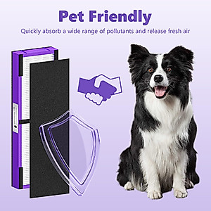 IMPROVEDHAND FLT4850PT HEPA Replacement Filter B Pet Compatible With G-Guardian Purifier AC4850,AC4825, AC4300,AC4870,AC4900,CDAP4500,AC4300, AP2200, 4x True HEPA Filter + 8x Pre-Filters