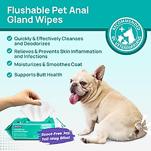 HICC PET Wipes for Dogs & Cats, Cleansing Deodorizing & Soothing Allergy Infections Anal Gland Pets Wipes with Coconut Oil - Dog Grooming Wipes for Butt and Paw - Hypoallergenic & Vet Recommended