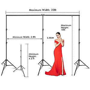 SLOW DOLPHIN Photo Video Studio 20ft (Wide) x 10ft (Tall) Heavy Duty Adjustable Width & Length Photography Backdrop Stand Background Support System Kit with Spring Clamps, Backdrop Clips, Carry Bag