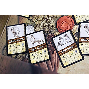 Robinson Crusoe Treasure Chest