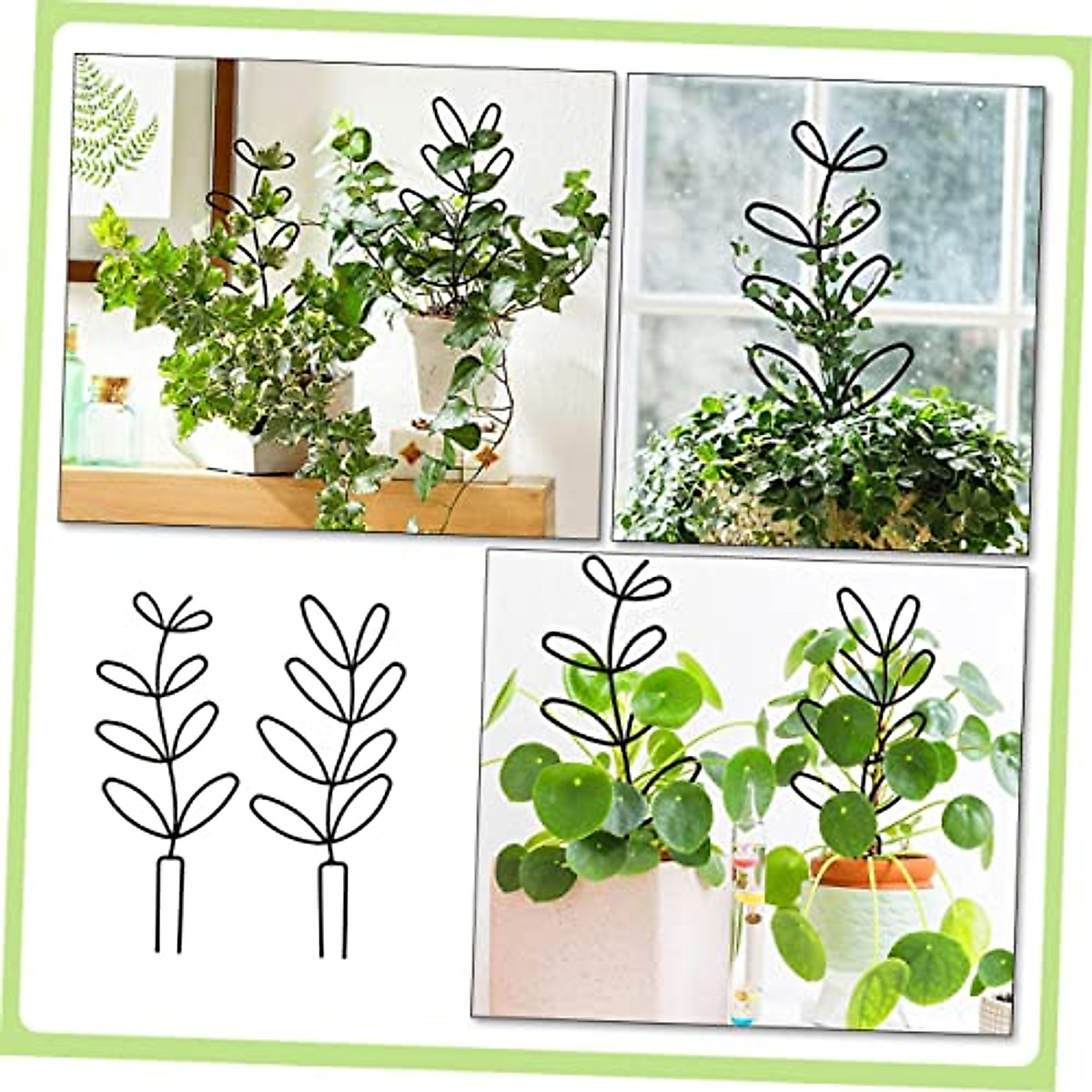 YARNOW 6 Pcs Plant Climbing Frame Indoor Decor Houseplants Live Indoor Green Roses Trellises for Plants Plant Cages Vine Plant Trellis Indoor Plant Trellis Plant Climbing Stand Iron Black