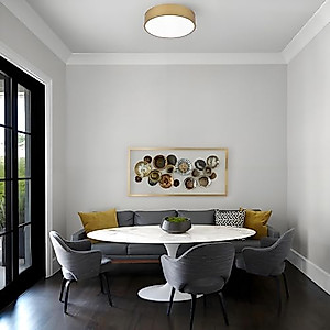 erpymi Modern Gold Flush Mount Ceiling Light, 2-Lights Round Ceiling Light, Minimalistic Ceiling Lamp Acrylic Shade Lighting Fixture for Bedroom Laundry Room Bathroom Hallway(11.8 Inch)