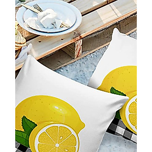 Vandarllin Outdoor Throw Pillows Covers 18X18 Set of 2 Waterproof Lemon Summer Fruit Decorative Zippered Lumbar Cushion Covers for Patio Furniture, Black White Buffalo Check Plaid