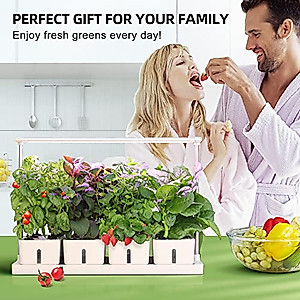 20 Pods Hydroponics Growing System, Herb Garden Kit Indoor Adjustable Height with Automatic Timer 34-Watt LED Grow Light, Indoor Garden with 4 Removable Water Tank, Gifts for Plant Lovers