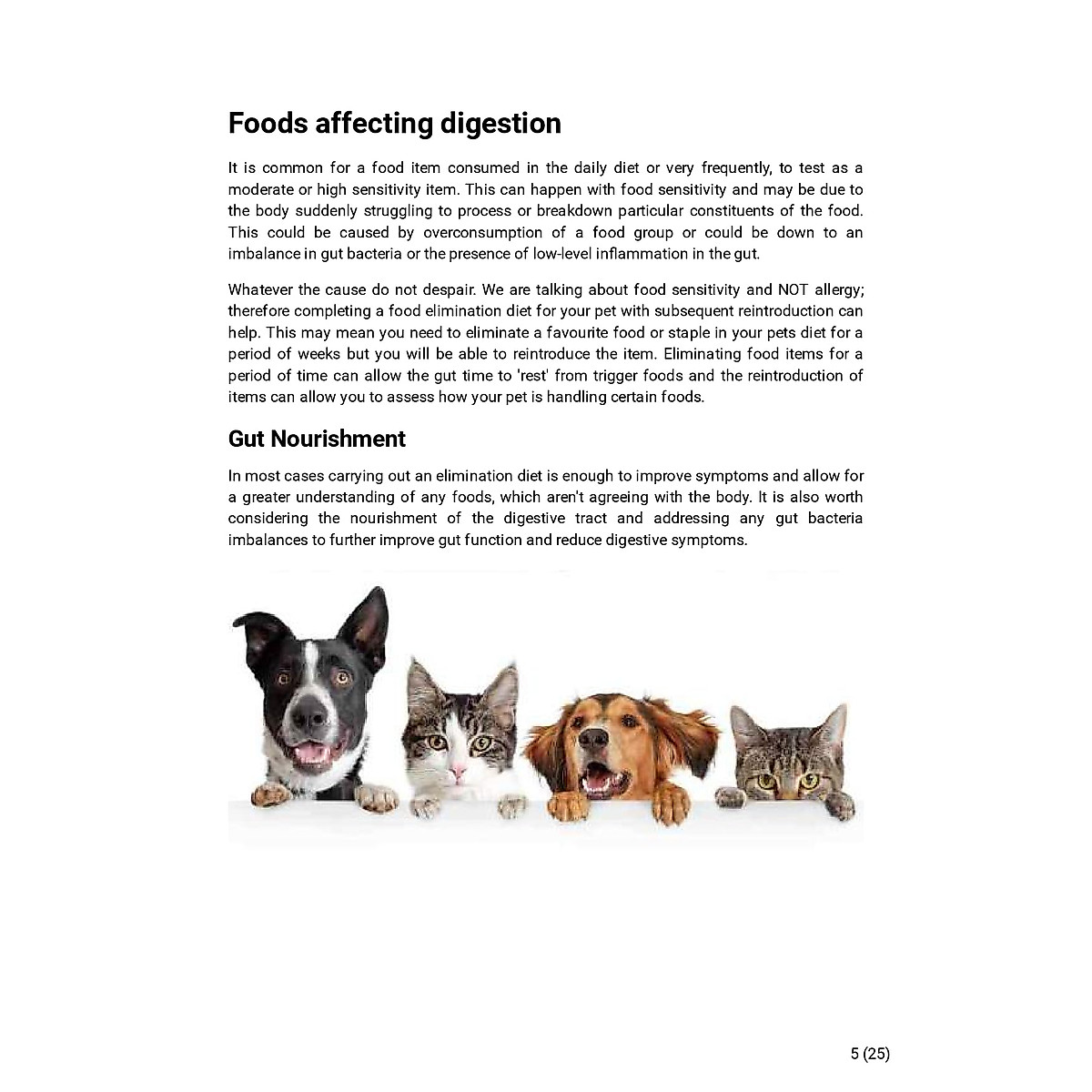 AffinityDNA Dog Intolerance Test for 200 Food and Non-Food Allergens | Home Sample Collection Kit for 1 Canine | Results in 5 Working Days | A Complete Allergy Kit with No Extra Fees