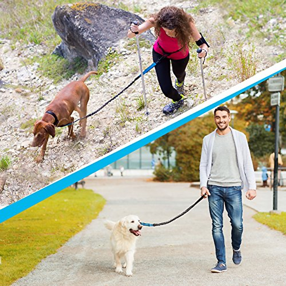 SparklyPets Hands Free Dog Leash for Medium and Large Dogs – Professional Harness with Reflective Stitches for Training, Walking, Jogging and Running Your Pet (Blue, for 1 Dog)