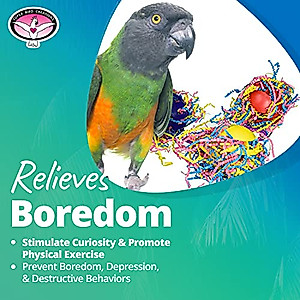 Super Bird Creations SB760 Waffle Ball Stuffers Toy for Birds, Set of 3