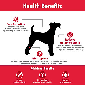 Pet Health Solutions PHS ReMATRIX Joint Support Supplement for Dogs - Glucosamine, Chondroitin, MSM, Omega-3 - Hip and Joint Pain Relief and Support for Dogs - Made in USA - 240 Soft Chews