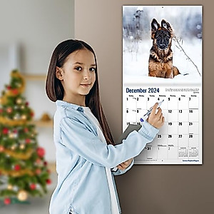MICASA German Shepherd Puppies 2024 Wall Calendar 12 Month | 12" x 24" Open | Thick & Sturdy Paper | Giftable | Calendar 2024