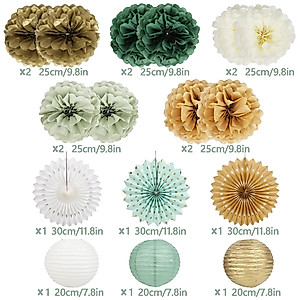 18 PCS Sage Green Party Decorations Sage Green Paper Fans Lanterns Sage and Gold Tissue Paper Pom Poms with Heart and Dot Hanging Garlands for Bridal Baby Shower Wedding Birthday Party Decorations