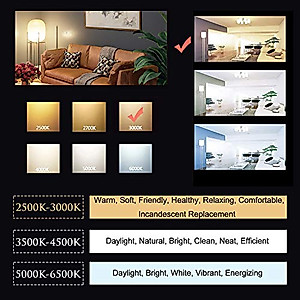 OMAYKEY 12W Dimmable Large LED Globe Bulb 3000K Soft White, 100W Equivalent 1000 LM E26 Medium Base, Vintage Edison G125 Large Globe Clear Glass LED Filament Light Bulb, Deep Dimming Version