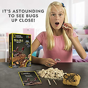 NATIONAL GEOGRAPHIC Real Bug Dig Kit - Dig up 3 Real Insects including Spider, Fortune Beetle and Scorpion - Great STEM Science gift