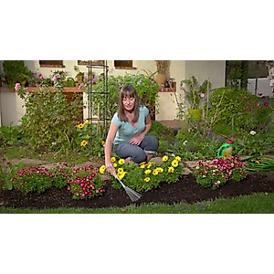 Miracle-Gro Shake 'n Feed Continuous Release All Purpose Plant Food, 8-Pound (Slow Release Plant Fertilizer)