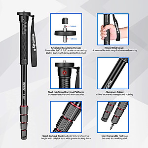 Manbily 65-Inch Camera Monopod, 5 Sections Aluminum Travel Monopod for Canon Nikon Sony DSLR Cameras Video Camcorder, Compact Portable Monopod Lightweight Walking Trekking Stick（E-222）