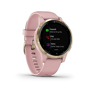 Garmin Vivoactive 4S GPS Smartwatch with Music & Fitness Activity Tracker & Health Monitor Apps (Dust Rose/Gold) 010-02172-31 4 S Bundle with CPS Enhanced Protection Pack