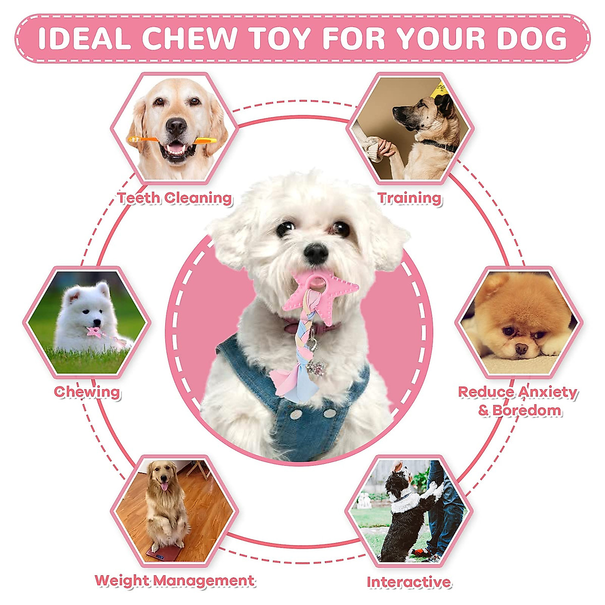 XGDMEIL 6 Pack Puppy Toys for Teething Small Dogs, Cute Pink Dog Chew Toys for Puppies, Soft Squeaky Dog Toys for Small Breed Cleaning Doggy Teeth, Outdoor Interactive Small Dog Chew Toys Set