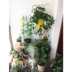 Faicuk Yellow Dual-Sided Sticky Fly Traps for Plant Insect Like Aphids, Fungus Gnats, Leaf Miners and White Flies (30 Pack)