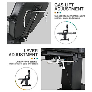 TATARTIST Electric Tattoo Chair Portable Client Tattoo Table Spa Bed Massage Table Facial Chair Dental Chair Tattoo Studio Salon Equipment (Black)