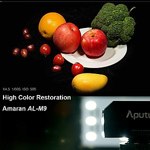 Aputure Amaran AL-M9 LED Light Built in Battery Pockable Mini TLCI/CRI 95+ On-Camera Video Lights 9pcs SMD Lighting for DSLR Camera