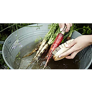 Organic, Vegan-friendly, All Natural, Zero Waste Multi-Purpose Dish Cleaning Soap - Unscented