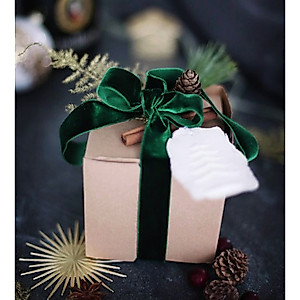 VATIN Green Velvet Ribbon 5/8" Green Premium Plush Velvet Woven Edge Velvet Ribbon for Christmas Tree,Gift Wrapping,Flower Bouquet,Wreath Decorations,Bow Making- 10 Yards