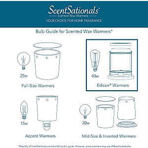 Scentsationals 40w Bulb for Edison Wax Warmer Single Unit - 40 Watt Light Candelabra E12 Base - Retro Vintage Replacement Electric Plug-in Wax Melter, Certified Style ST38 120 Volt (1 Pack)
