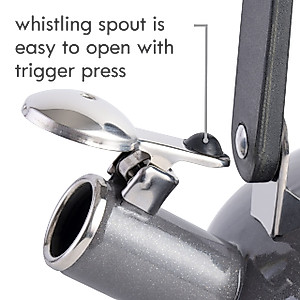 Kenmore Broadway 1.5-Quart Enamel on Steel Tea Kettle - Graphite Grey