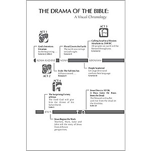 NIV, Holy Bible, Larger Print, Paperback