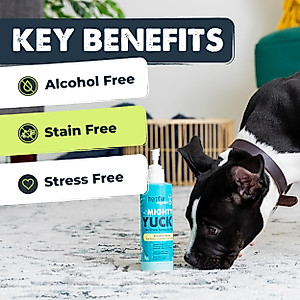 Mighty Paw Waggables Yucky No Chew Spray for Dog (Made in The USA) | Bitter Apple Sprayer for Pets to Stop Chewing. Dog Repellent Spray for Furniture. Anti Chew Sprayer Pets. (8 oz)