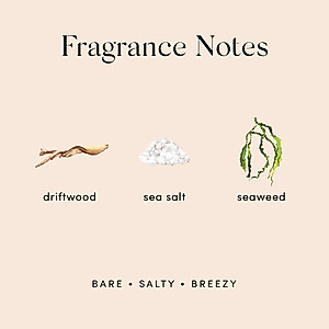 Salt Air Perfume By Skylar - Travel-Sized Rollerball - Paraben-Free, Phthalate-Free, Vegan, and Cruelty-Free Fragrance - Salty and Breezy - With Notes of Sea Salt and Driftwood (10mL / 0.33 fl oz)