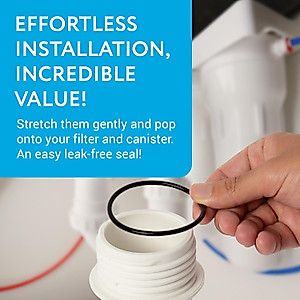Impresa O-Rings Water Filter Replacement Gaskets - 6 Pack - Tight Seal and Stops Leaks - Quick and Easy to Install - Compatible with Whole Home Water Filtration System (2.5 in)