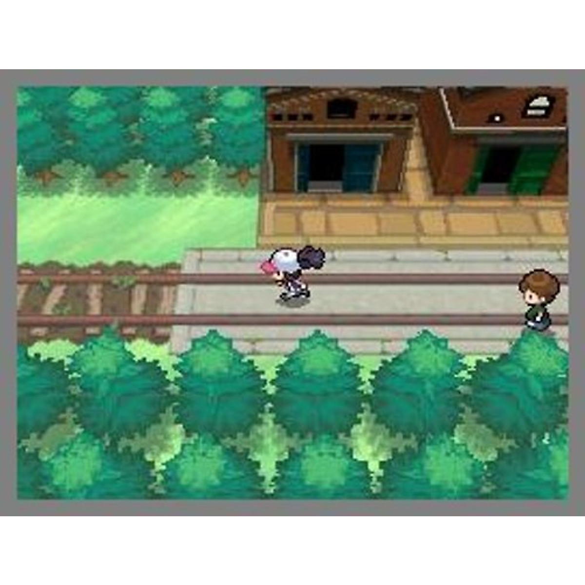 Pokemon Black [DSi Enhanced] [Japan Import]