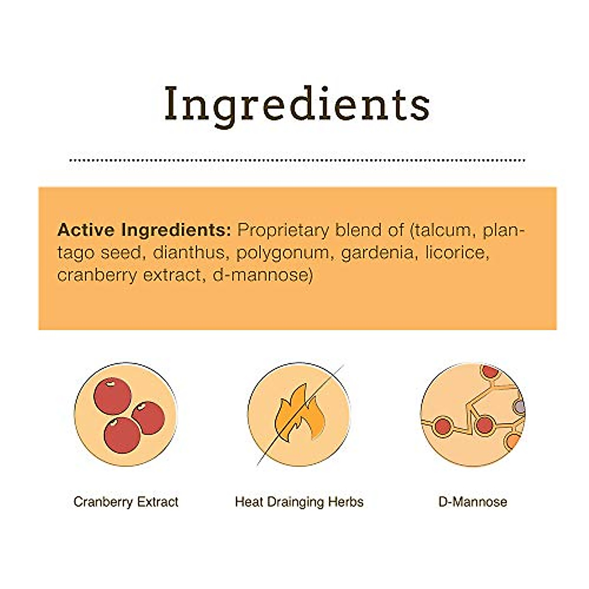 Herbsmith Bladder Care- Bladder Support for Cats- Urinary Tract Cat Supplement – Maintains Kidney Health for Cats– 75g