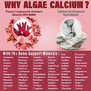 Sugar Free Calcium Magnesium Zinc Gummies, Algae Calcium Magnesium Supplement Plus D3 | 4 Forms of Magnesium - Glycinate, Citrate, Malate, Algae - Support Bone Health, Muscle Function & Nerve, 60 Ct