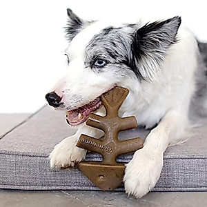 Benebone Fishbone Durable Dog Chew Toy for Aggressive Chewers, Real Fish, Made in USA, Medium